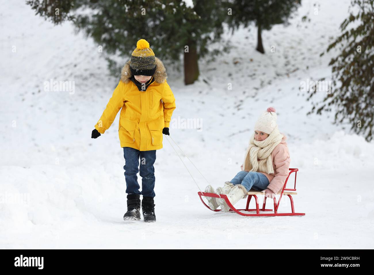 Little boy pulling sledge with his sister through snow in winter park ...
