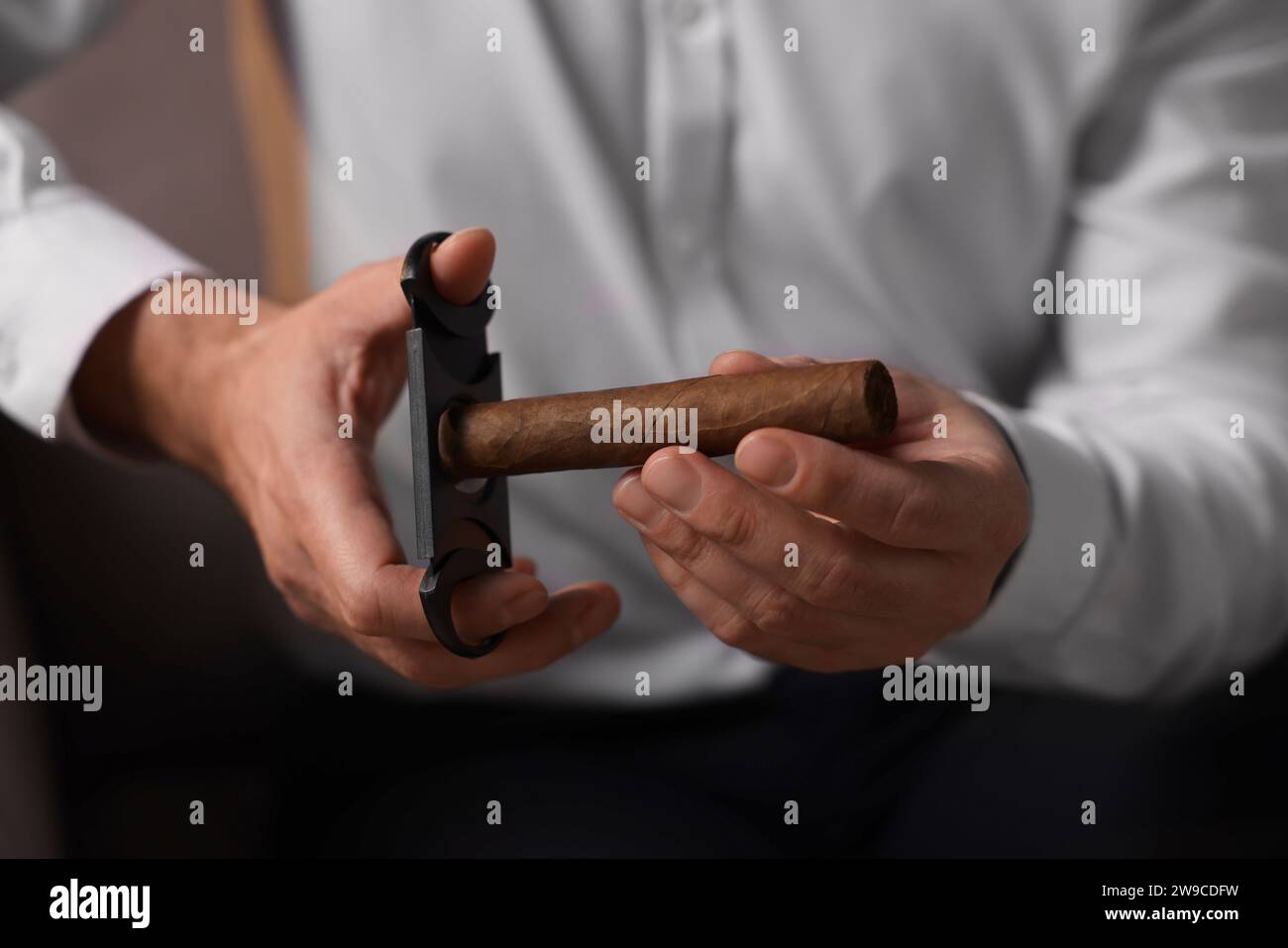 Man cutting tip of cigar, closeup view Stock Photo - Alamy