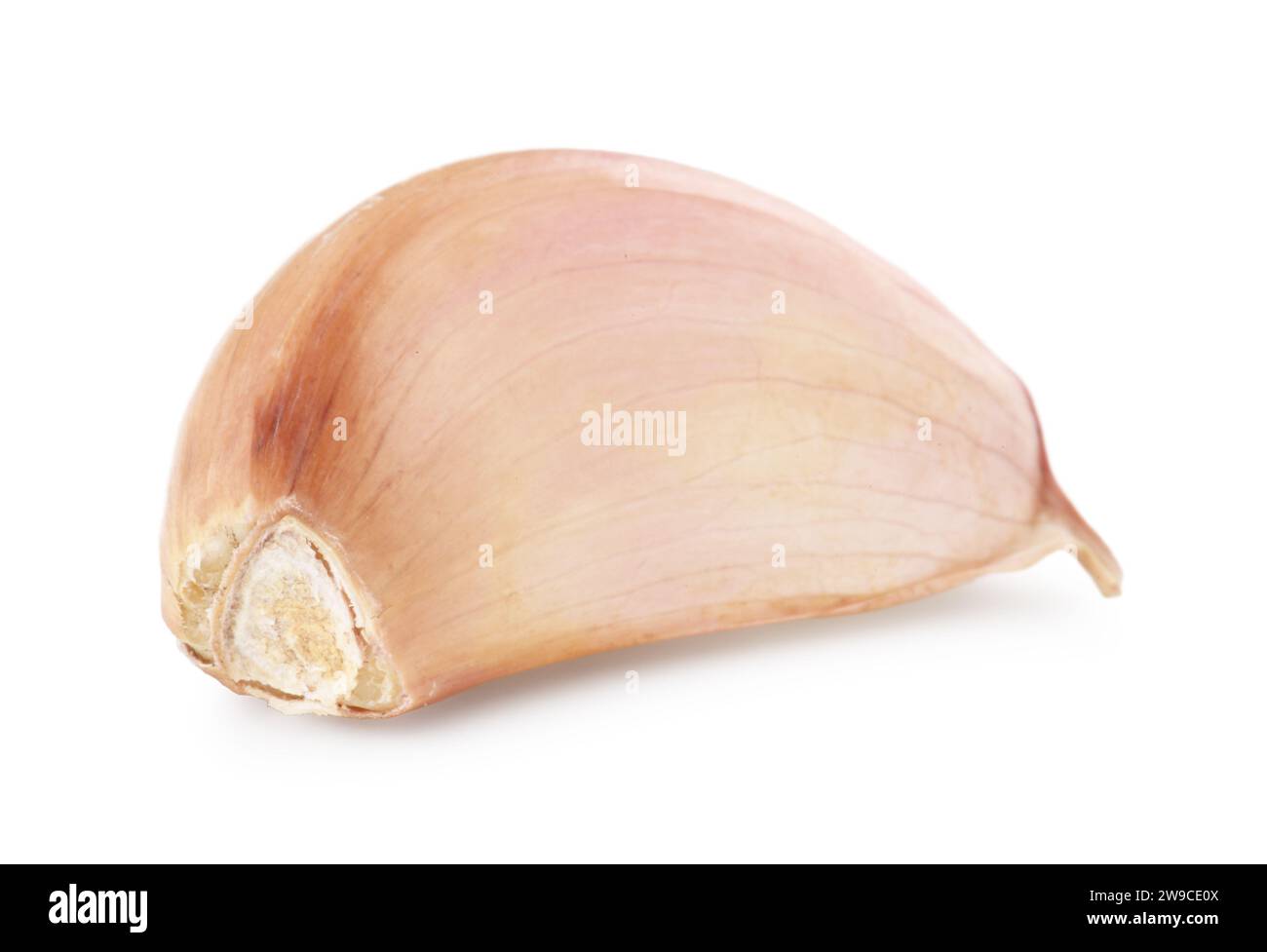 One clove of garlic isolated on white Stock Photo - Alamy