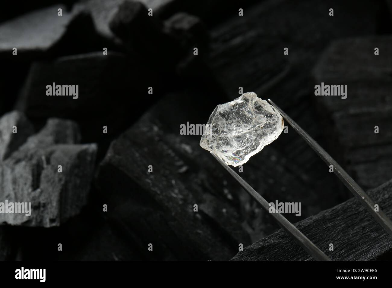 Tweezers with shiny rough diamond over coal, closeup. Space for text ...