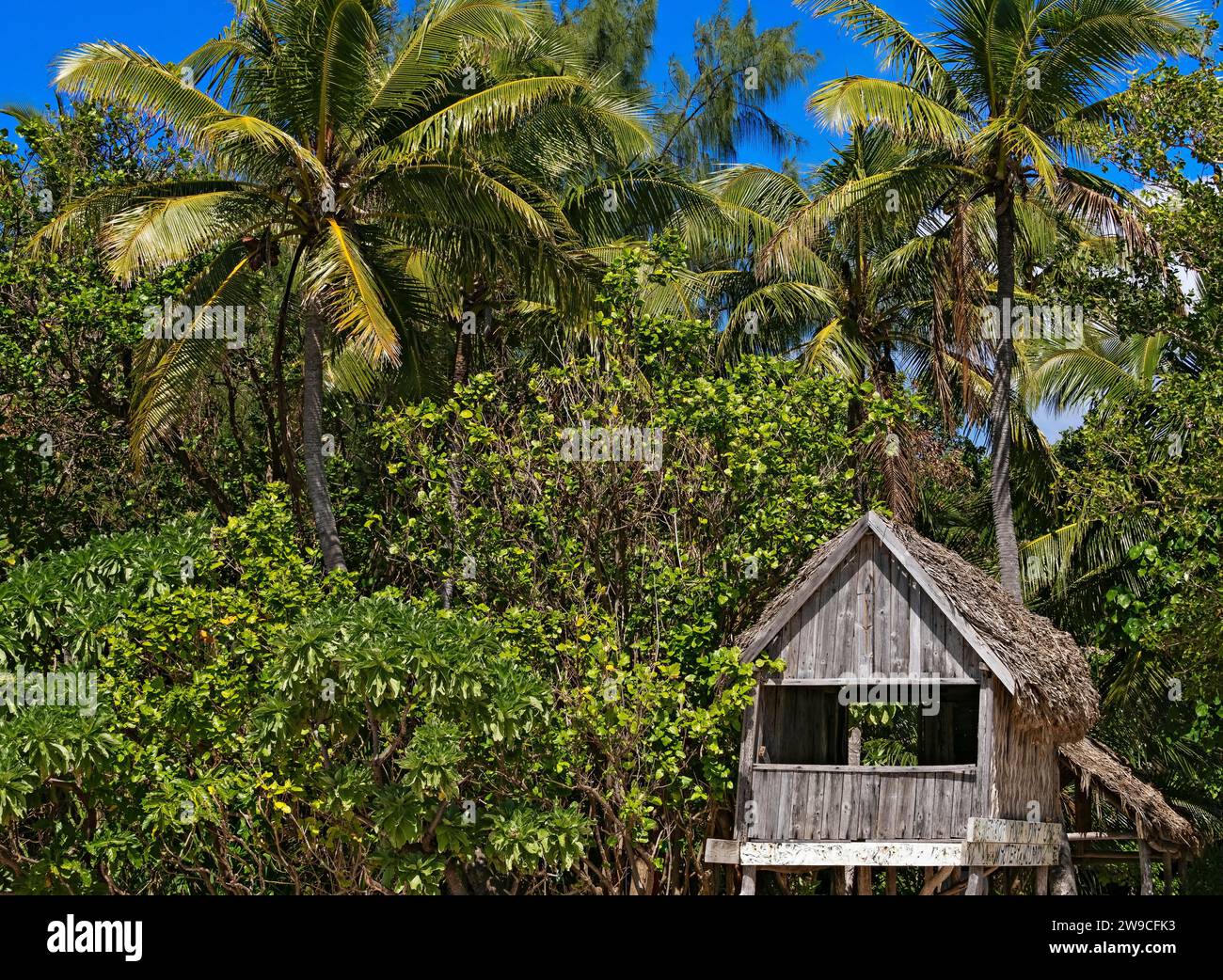 Aneityum island hi-res stock photography and images - Alamy