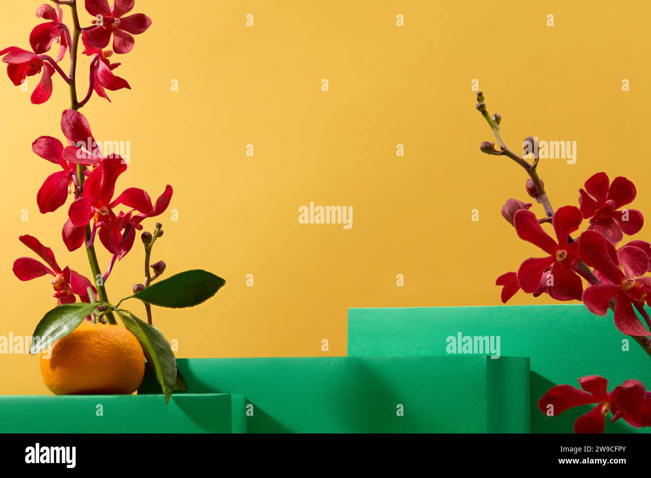 Green platforms hi-res stock photography and images - Alamy