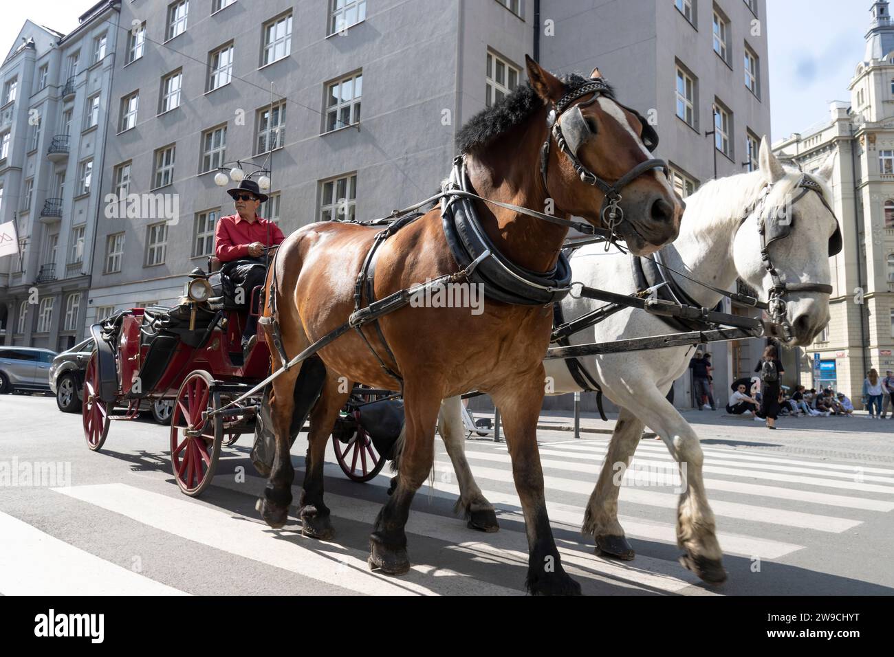 Carriage chariot horse carriage hi-res stock photography and images - Alamy
