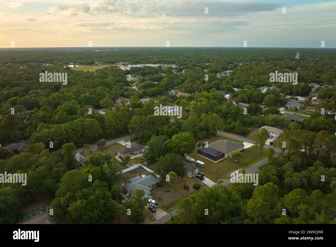 Aerial landscape view of suburban private houses between green palm ...