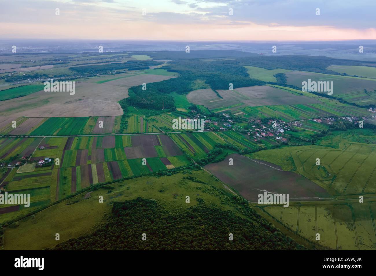 Agricultural cultivated field in summer season with growing crops ...