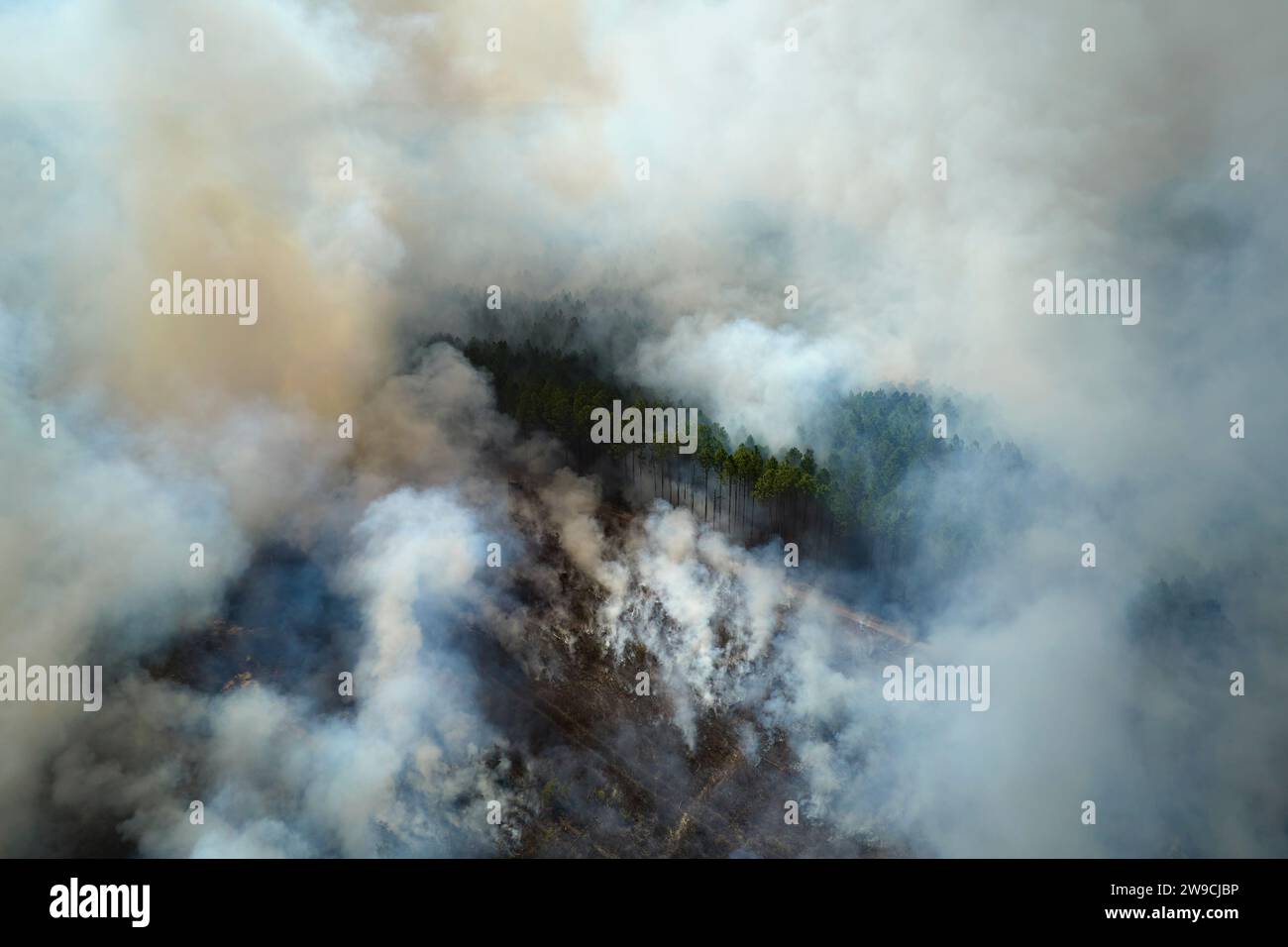 Aerial view of white smoke from forest fire rising up polluting ...