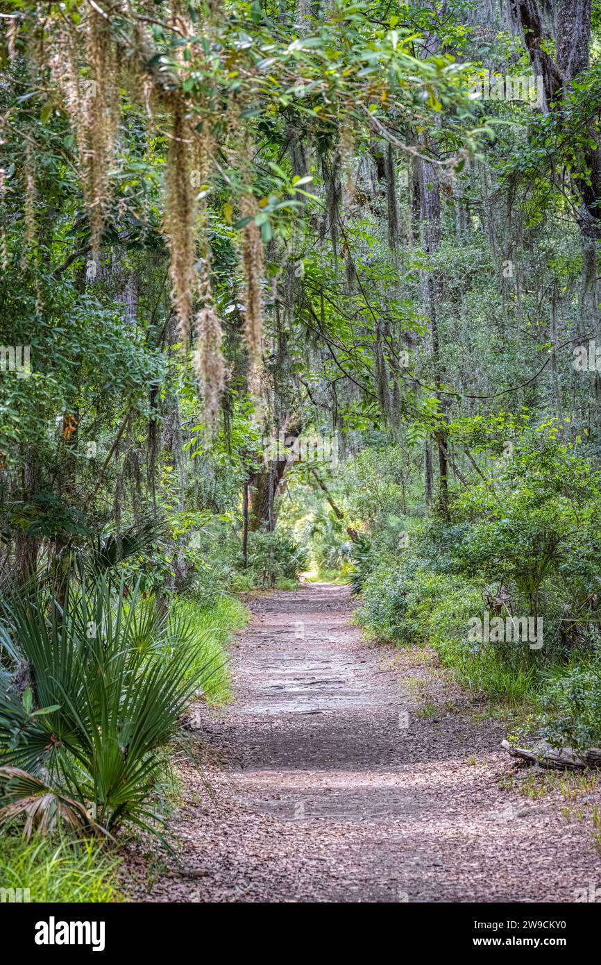 Skidaway narrows savannah hi-res stock photography and images - Alamy