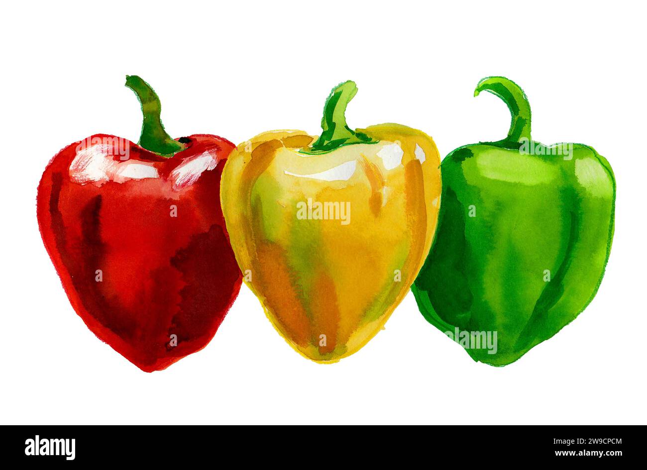 Three sweet peppers. Hand-drawn watercolor illustration Stock Photo - Alamy