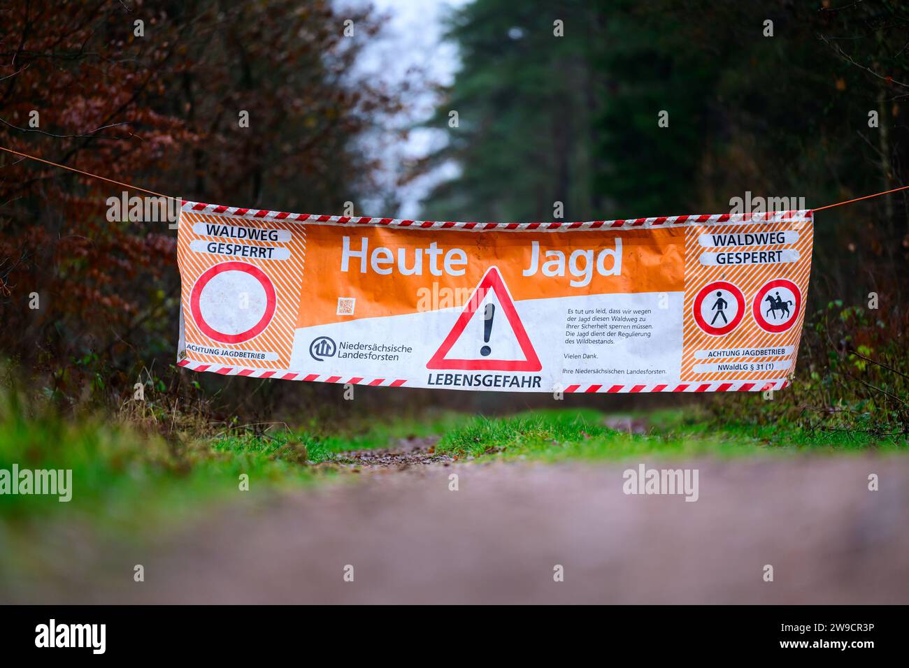 Heimbuch, Germany. 14th Dec, 2023. "Hunting today" is one of the words ...