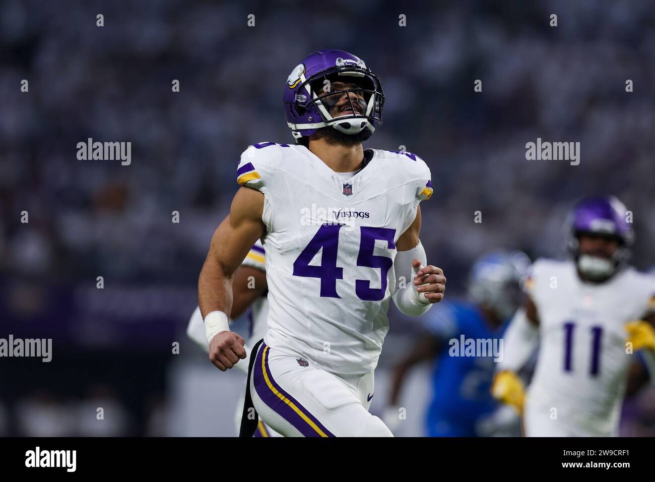 Minnesota Vikings linebacker Troy Dye (45) in action during the second ...