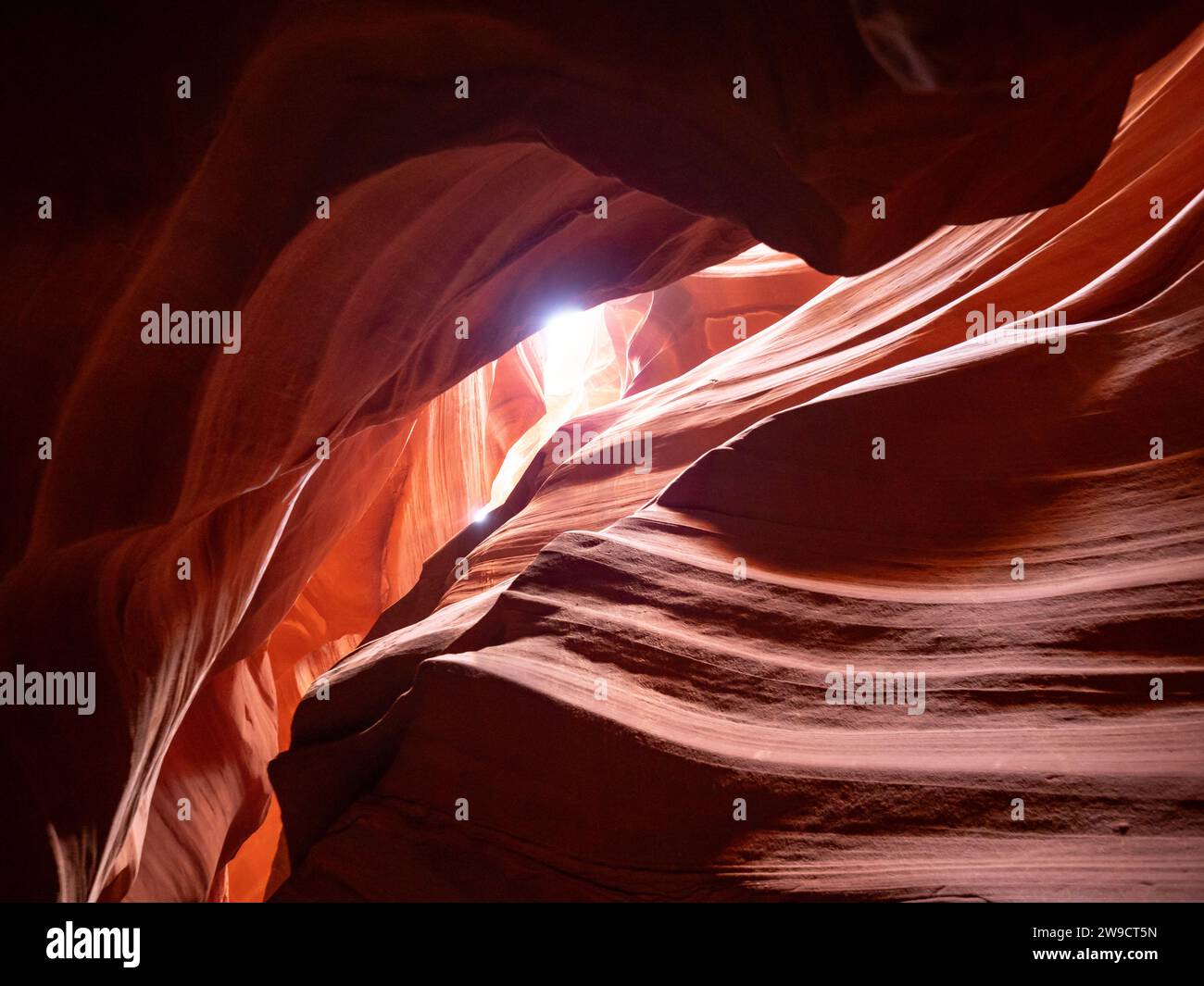 Orange and rust colored striated Navajo Sandstone walls in Upper ...