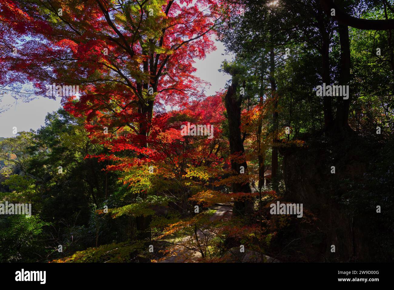 Kasagiyama hi-res stock photography and images - Alamy