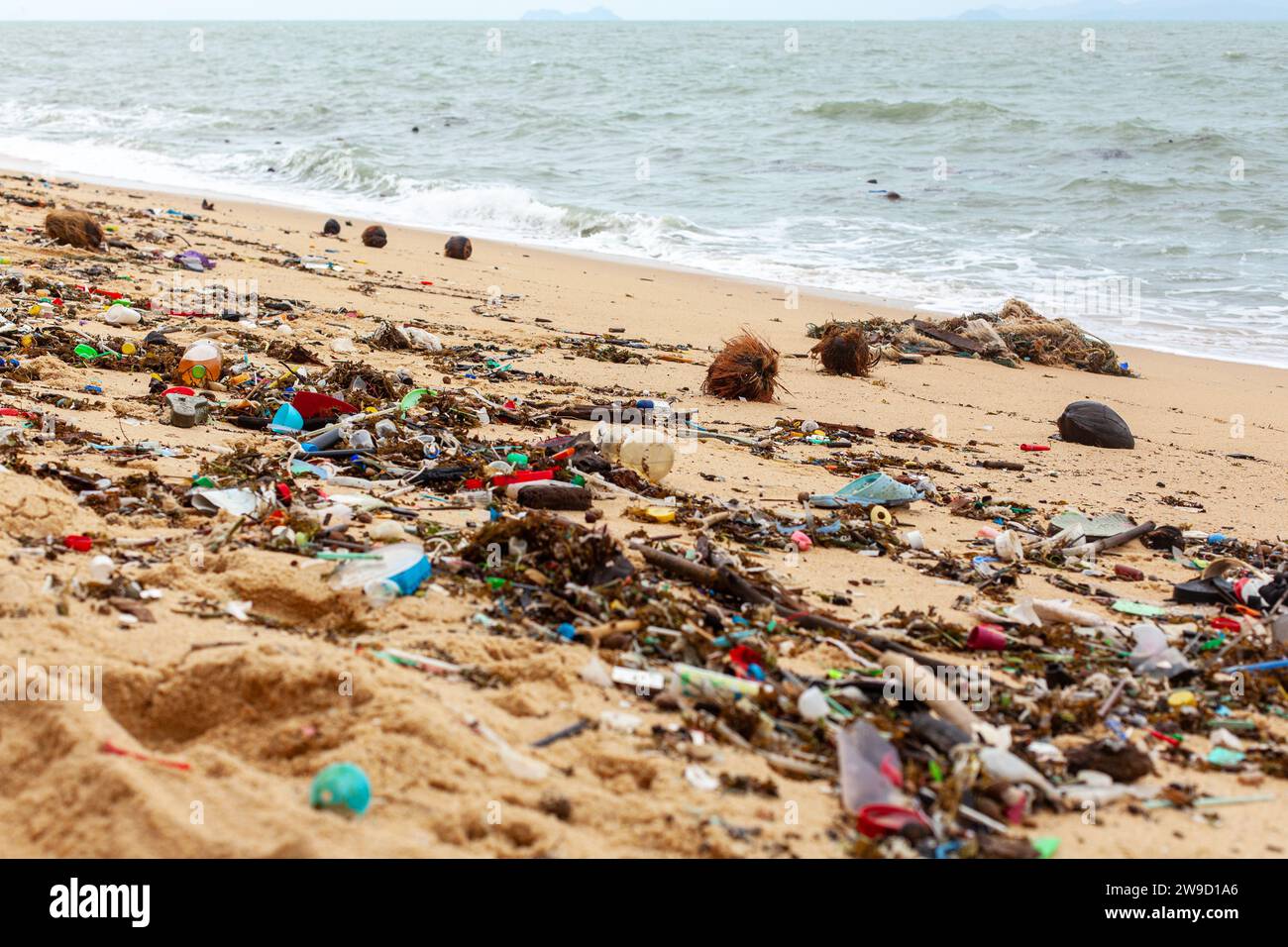 Garbage on sea beach, dirty ocean water, environmental pollution ...