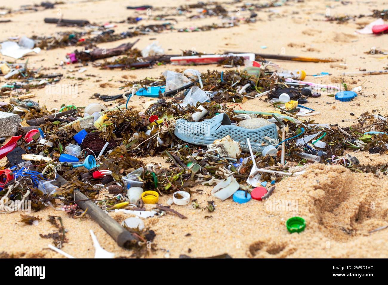 Garbage on sea beach, dirty ocean water, environmental pollution ...
