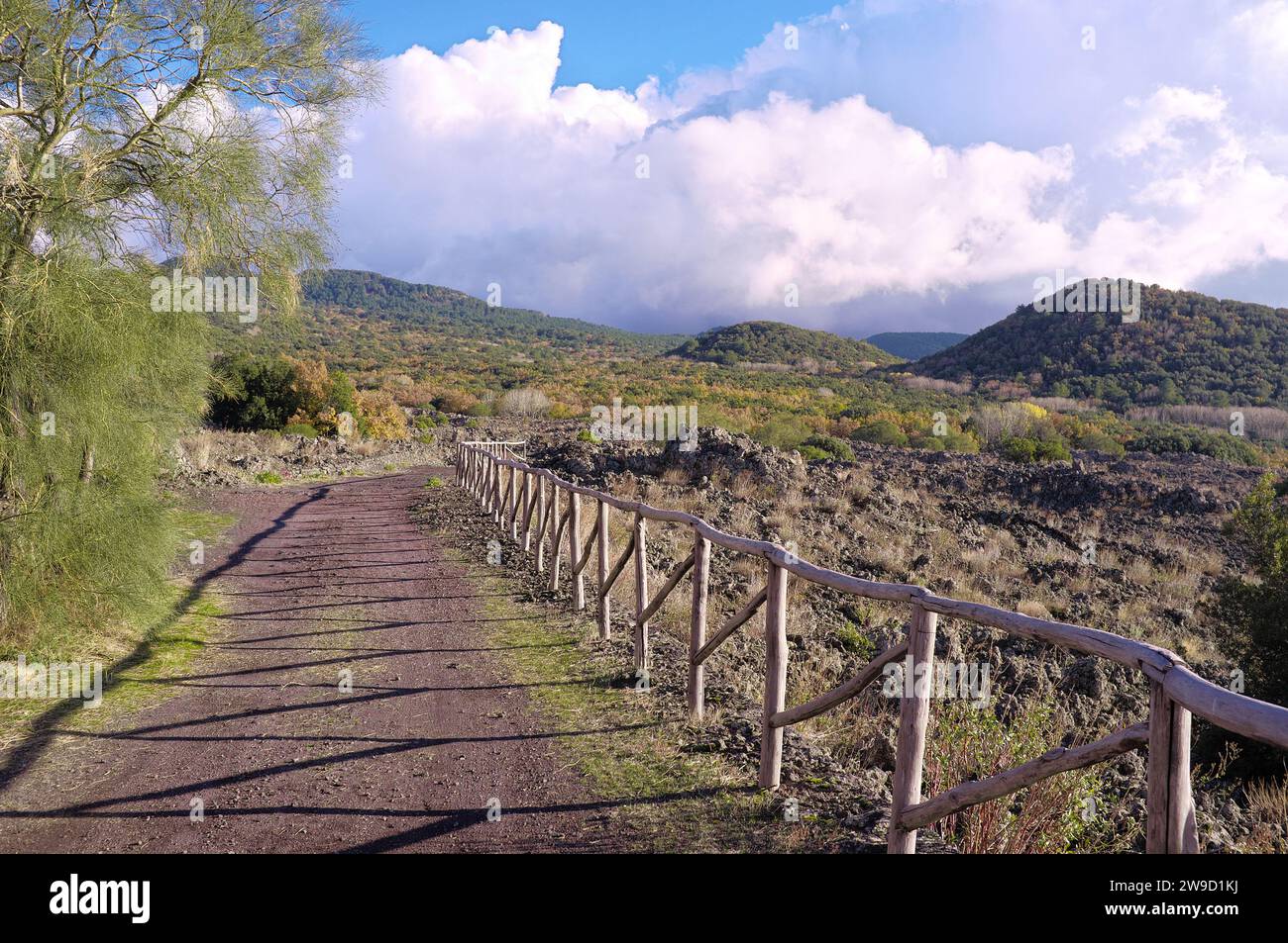 path through old lava field and old volcanoes trees covered in Etna ...