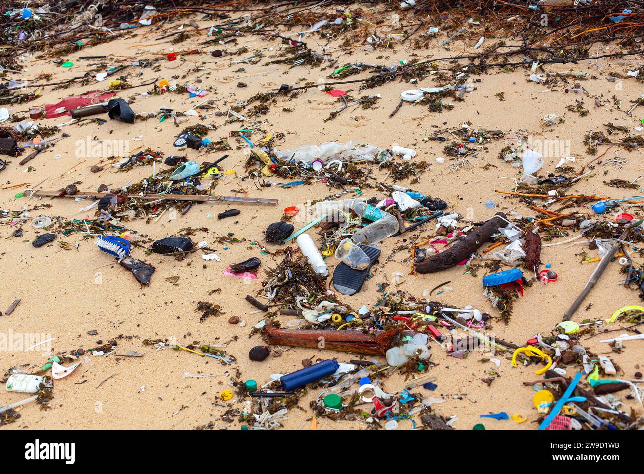 Garbage on sea beach, dirty ocean water, environmental pollution ...