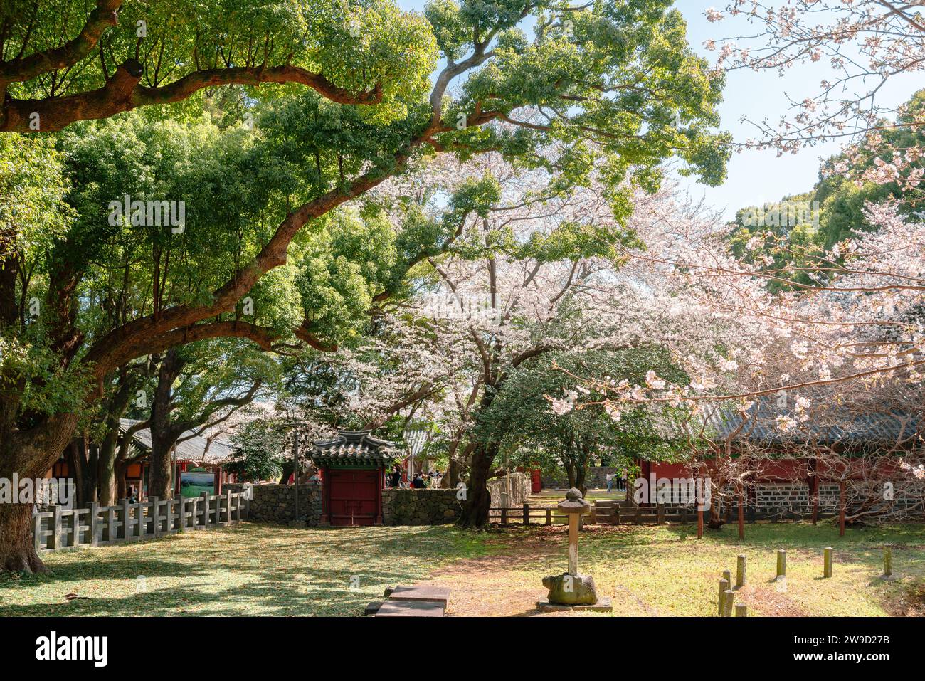 Jeju island, Korea - March 29, 2022 : Samseonghyeol traditional ...