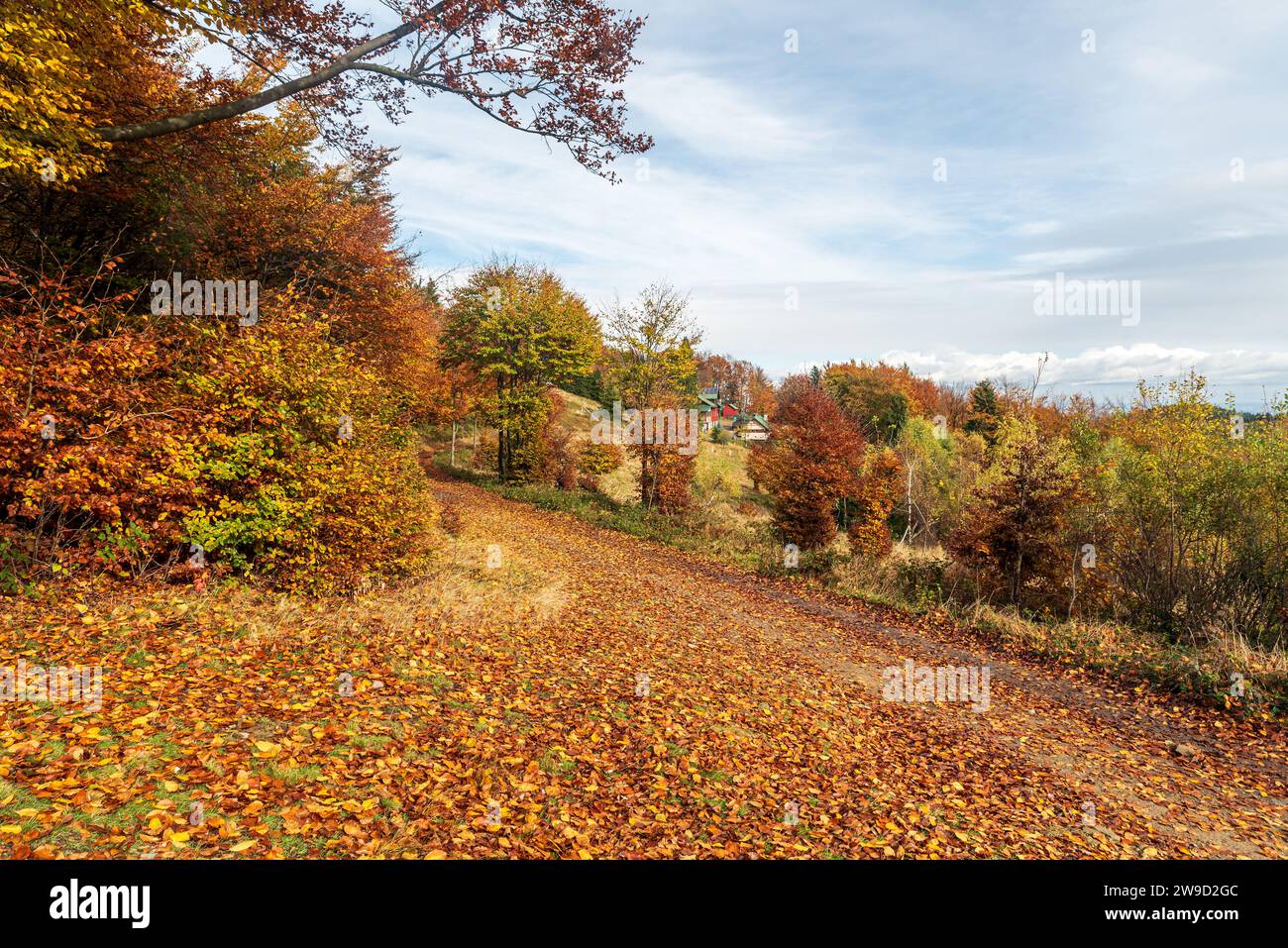 Colorful autumn on Gron Jana Pawla II. in Beskid Maly mountains in ...