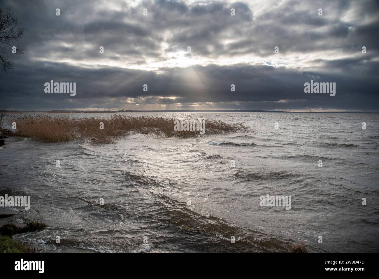 Dabie szczecin hi-res stock photography and images - Alamy