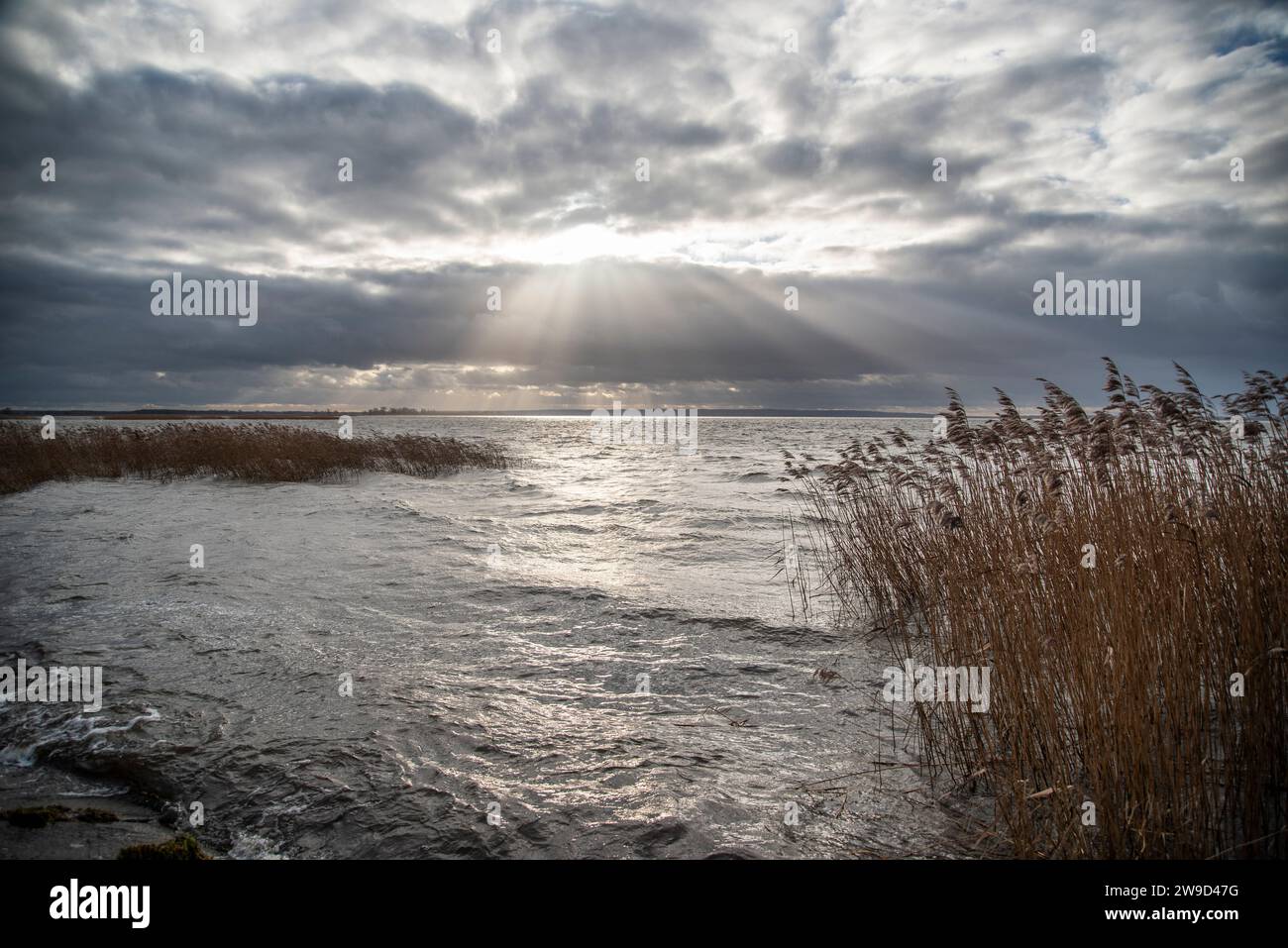 Dabie szczecin hi-res stock photography and images - Alamy