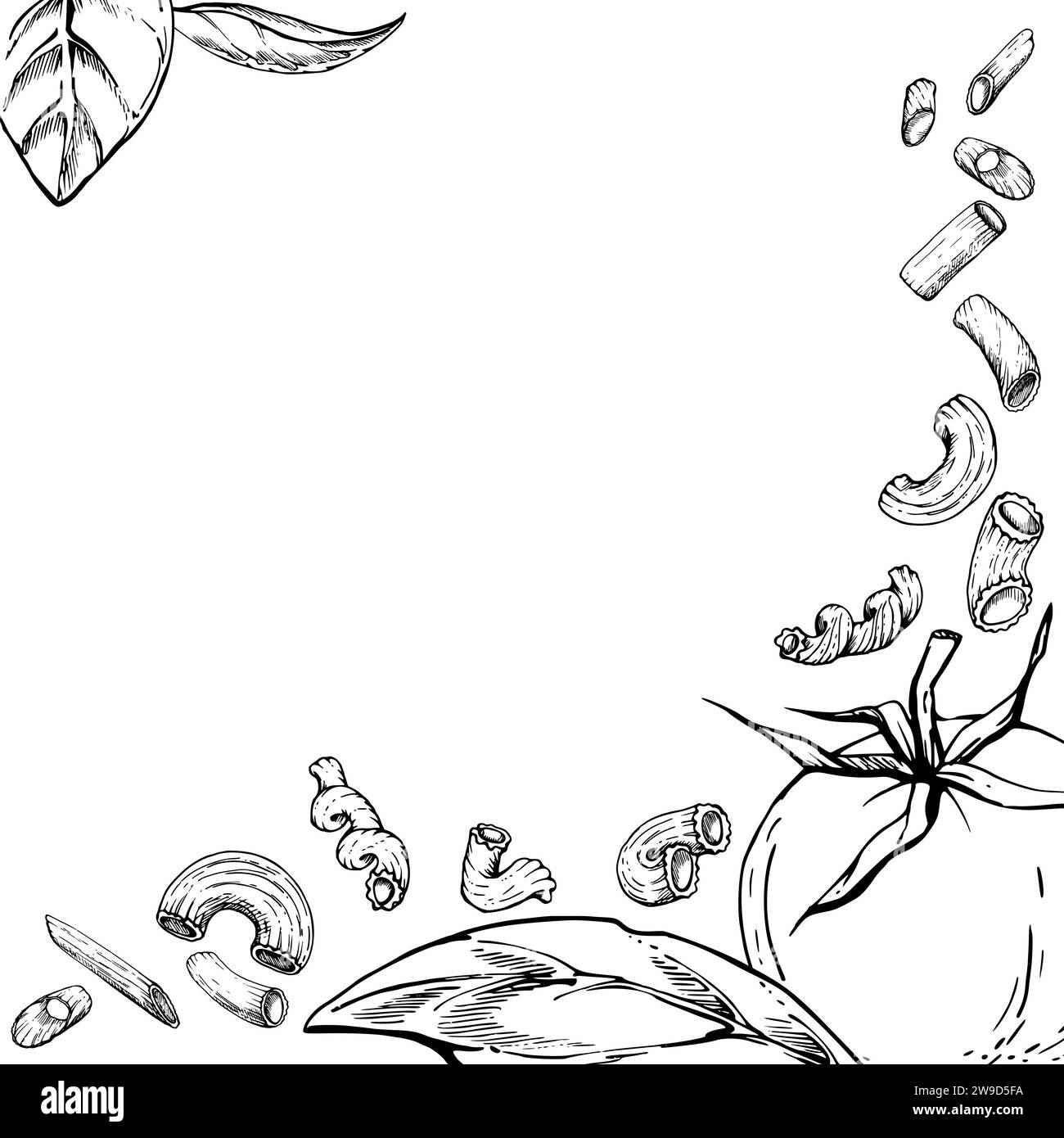 Hand drawn vector ink illustration. Pasta Italian cuisine, tomato basil ...
