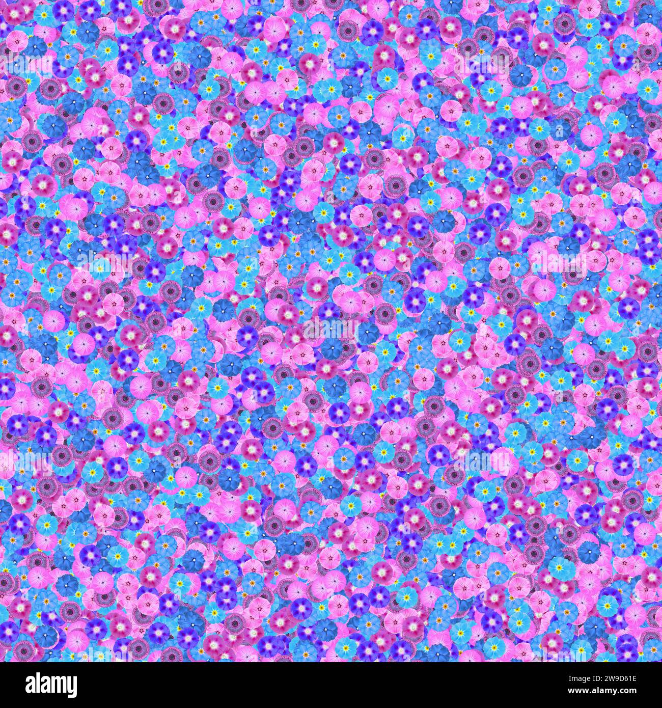 Floral pattern of various colorful flowers, light blue, purple, pink ...