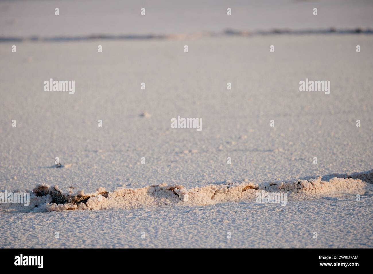 landscape of dry salt lake bed, cracked surface. Natural salt Close up ...