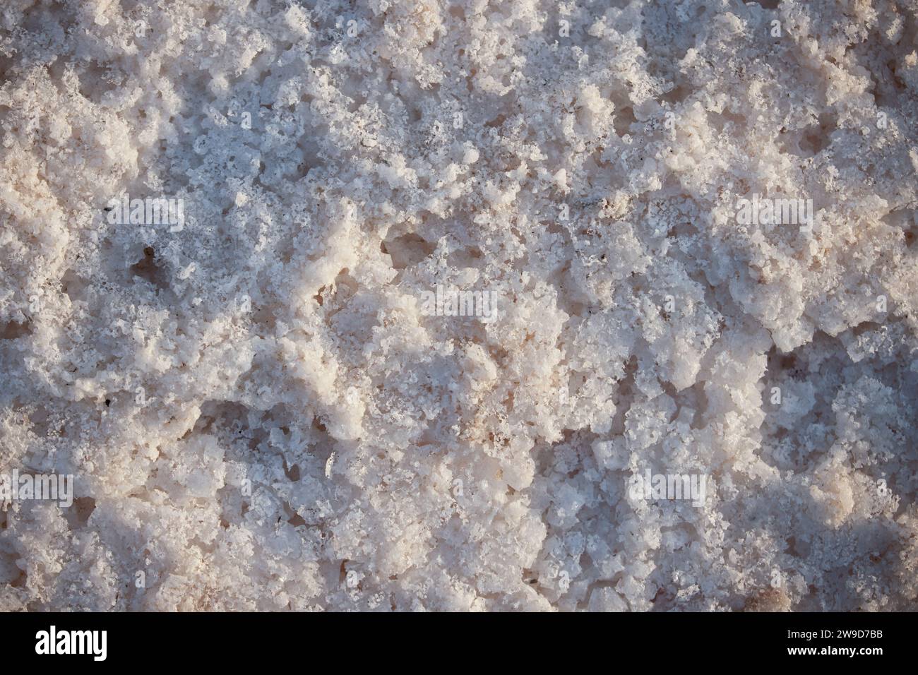 Natural salt Close up. Surface of a salt lake. Natural background ...