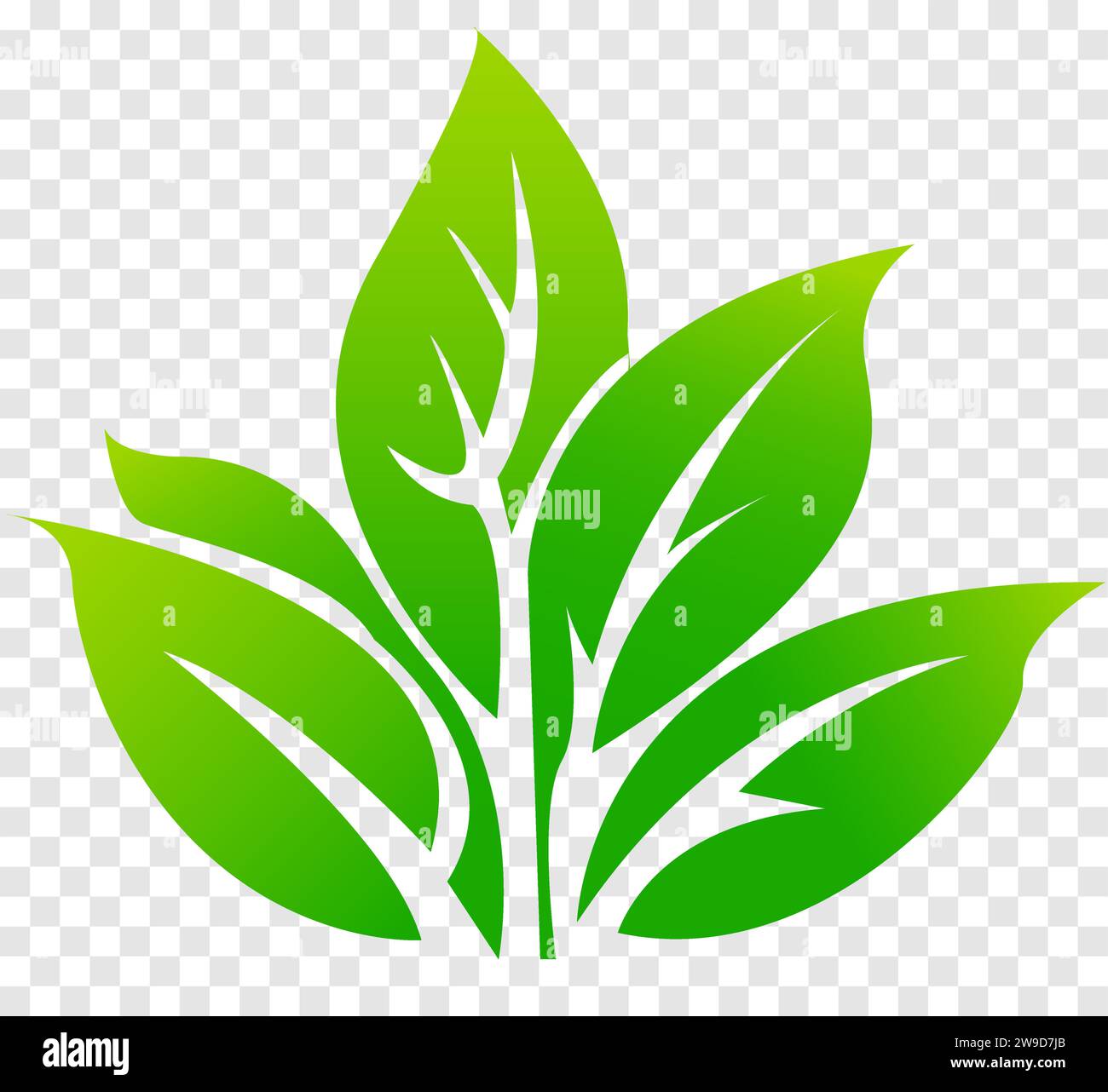 green leaves on isolated background, for logos, designs, for the ...