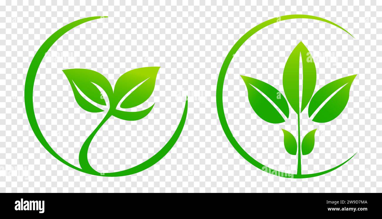 green leaves on isolated background, for logos, designs, for the ...