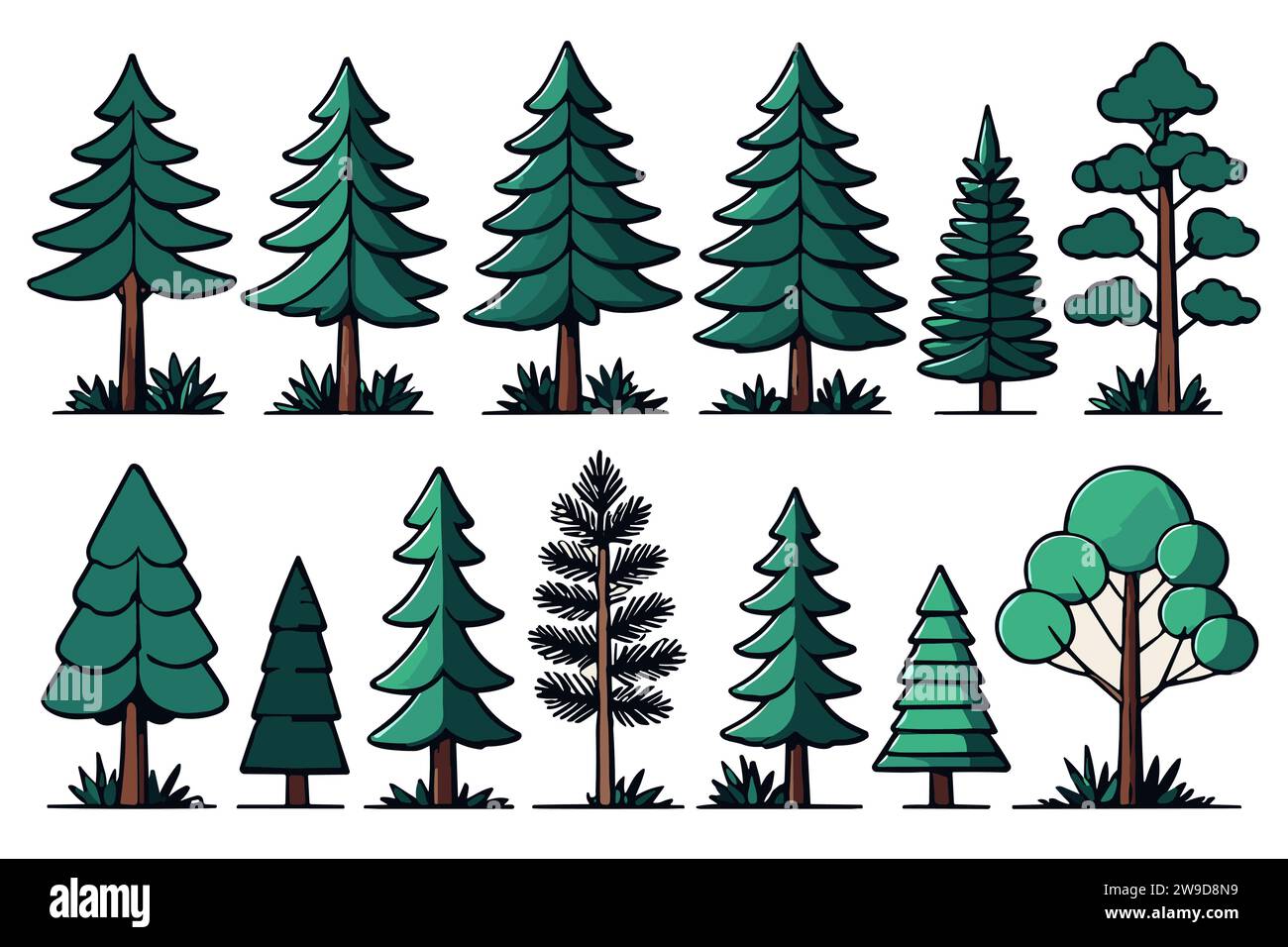 Evergreen canopy of pine trees Cut Out Stock Images & Pictures - Alamy