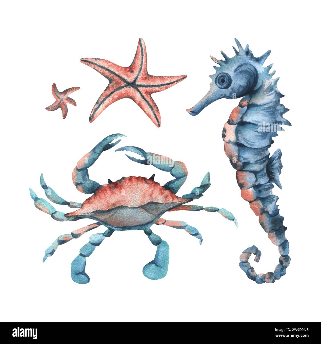 Underwater world clipart with sea animals seahorse, starfish, crab ...