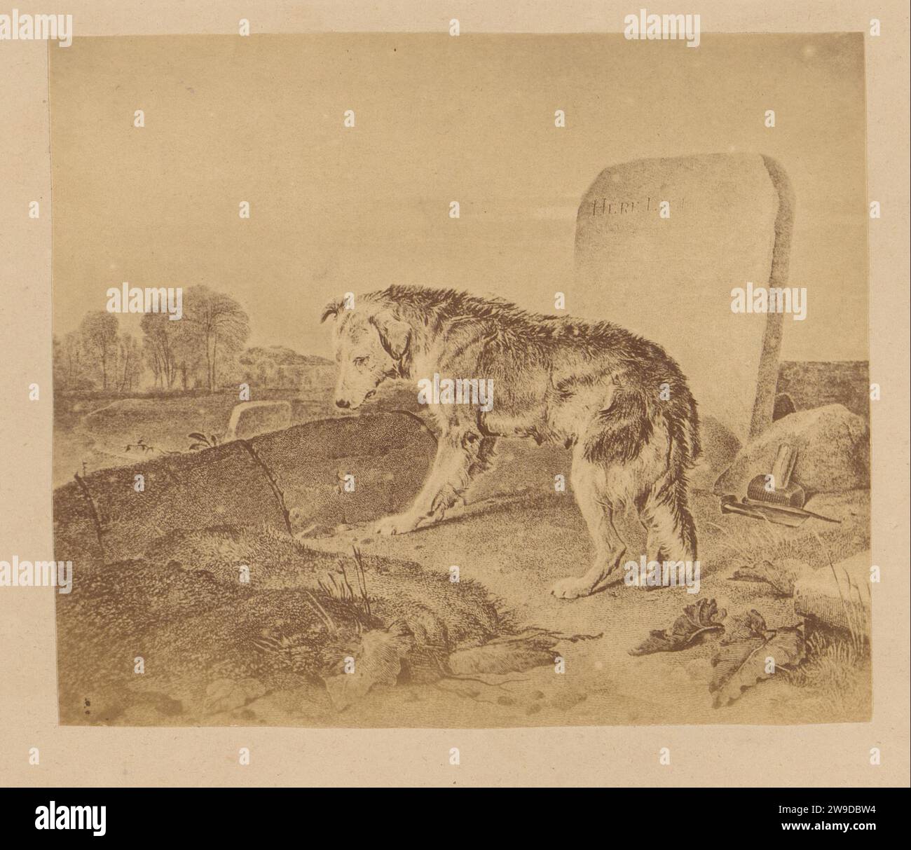 Dog gravestone hi-res stock photography and images - Alamy