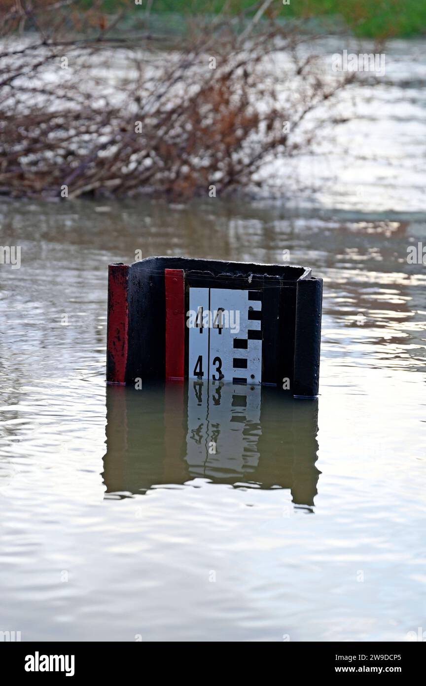Wasserpegel von über 4,20 m an der Lausitzer Neisse nahe der Görlitzer ...