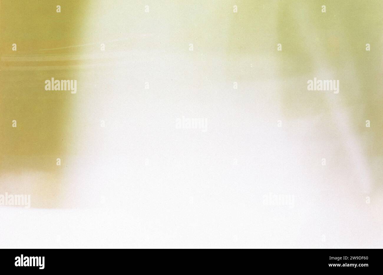 Scan of a medium format negative film at 100 ISO, displaying a unique ...