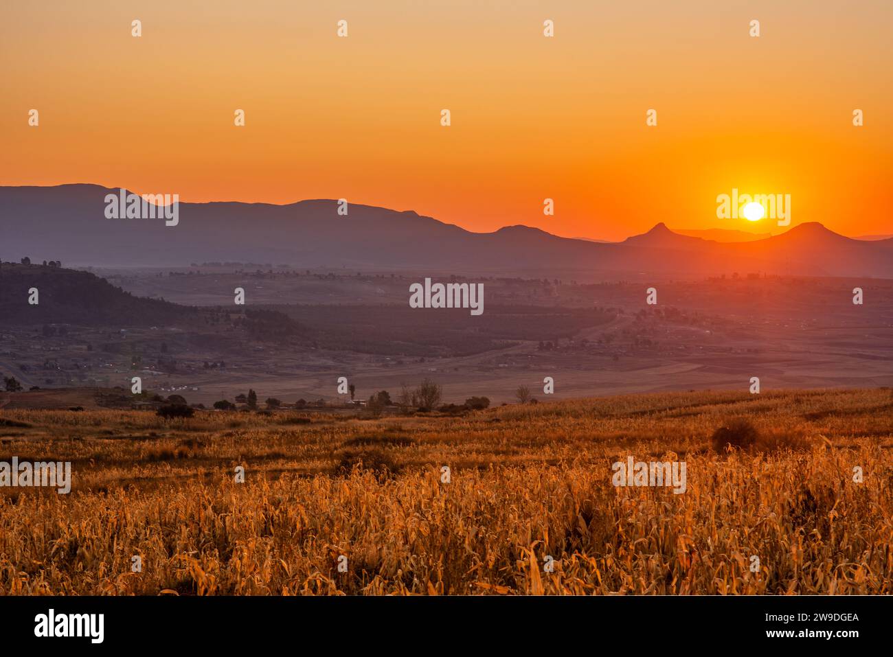 Fields of grain and mountains at sunset in the kingdom of Lesotho ...