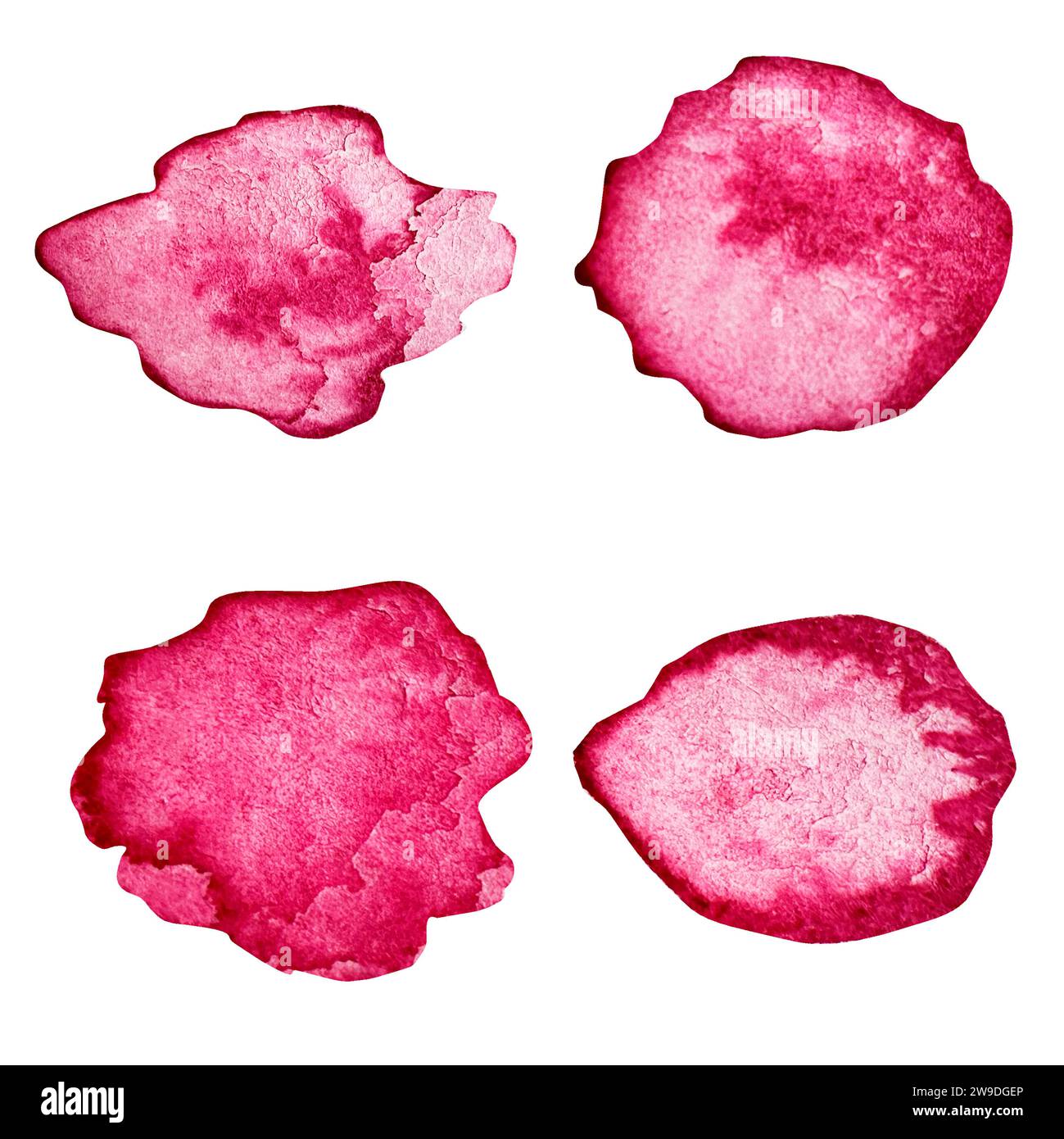 Set of round pink watercolor splash spot. Hand drawn. Isolated on white ...