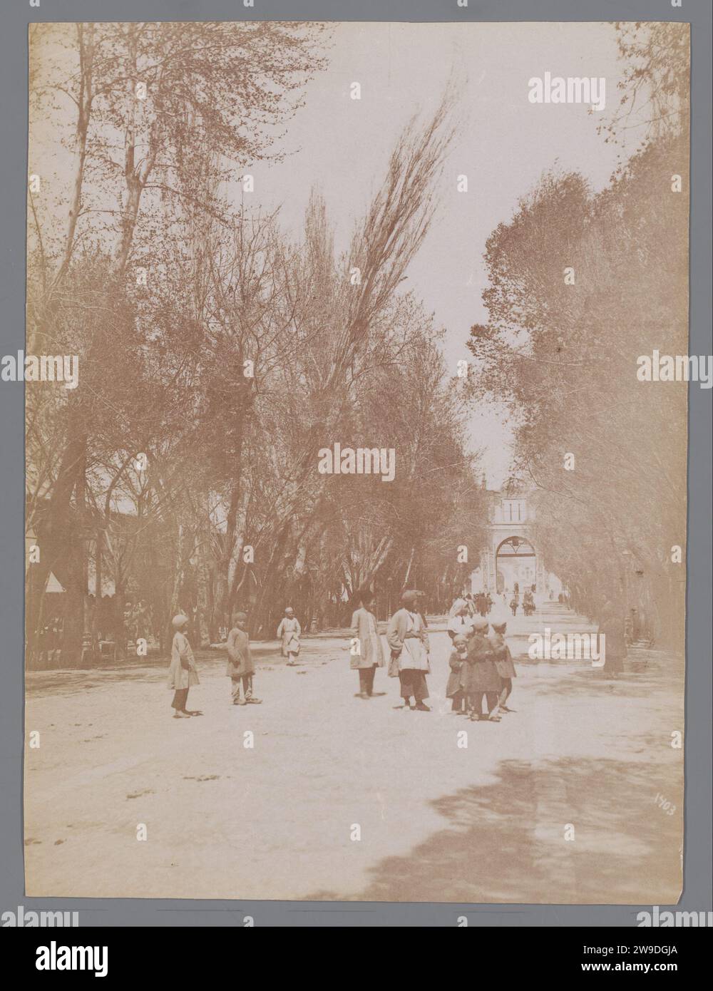 Avenue Almacheh [?]", Teheran, Iran, c. 1880 - c. 1910 photograph Road ...