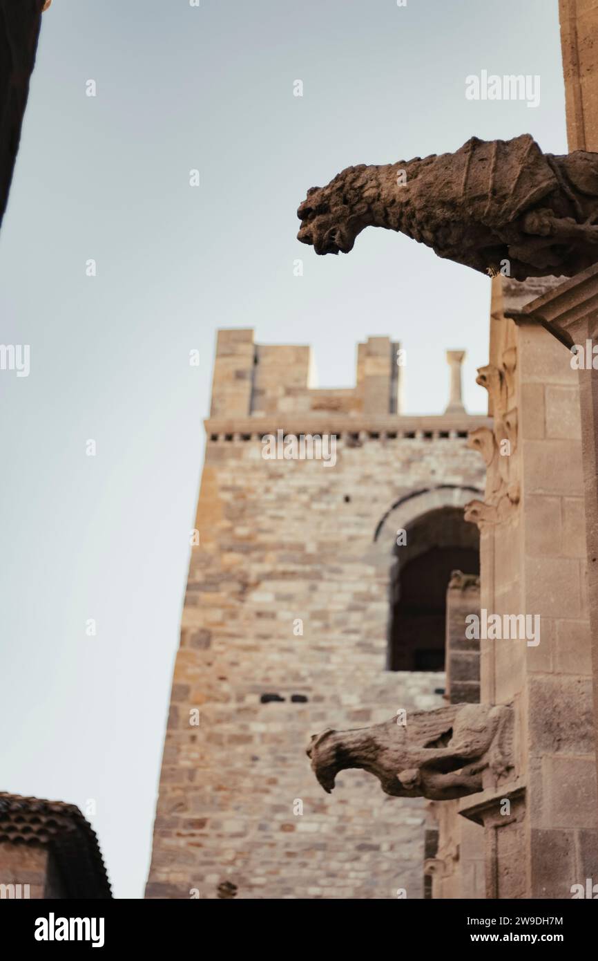 Medieval gargoyle sculpture on a Gothic cathedral in Narbonne Stock ...