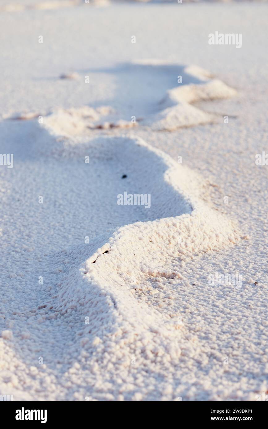 landscape of dry salt lake bed, cracked surface. Natural salt Close up ...