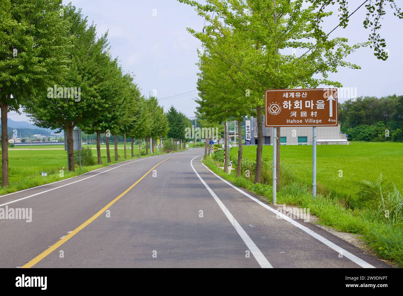 Andong City, South Korea - August 12th, 2023: A serene two-lane, tree ...