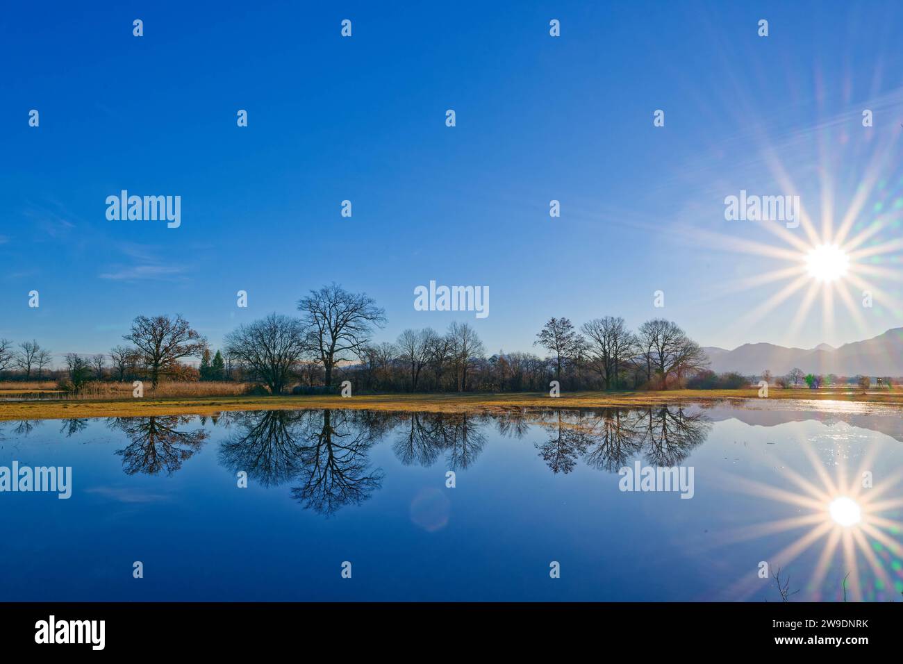 Ein milder Wintertag . Bezaubernde Natur am Chiemsee im bayerischen ...