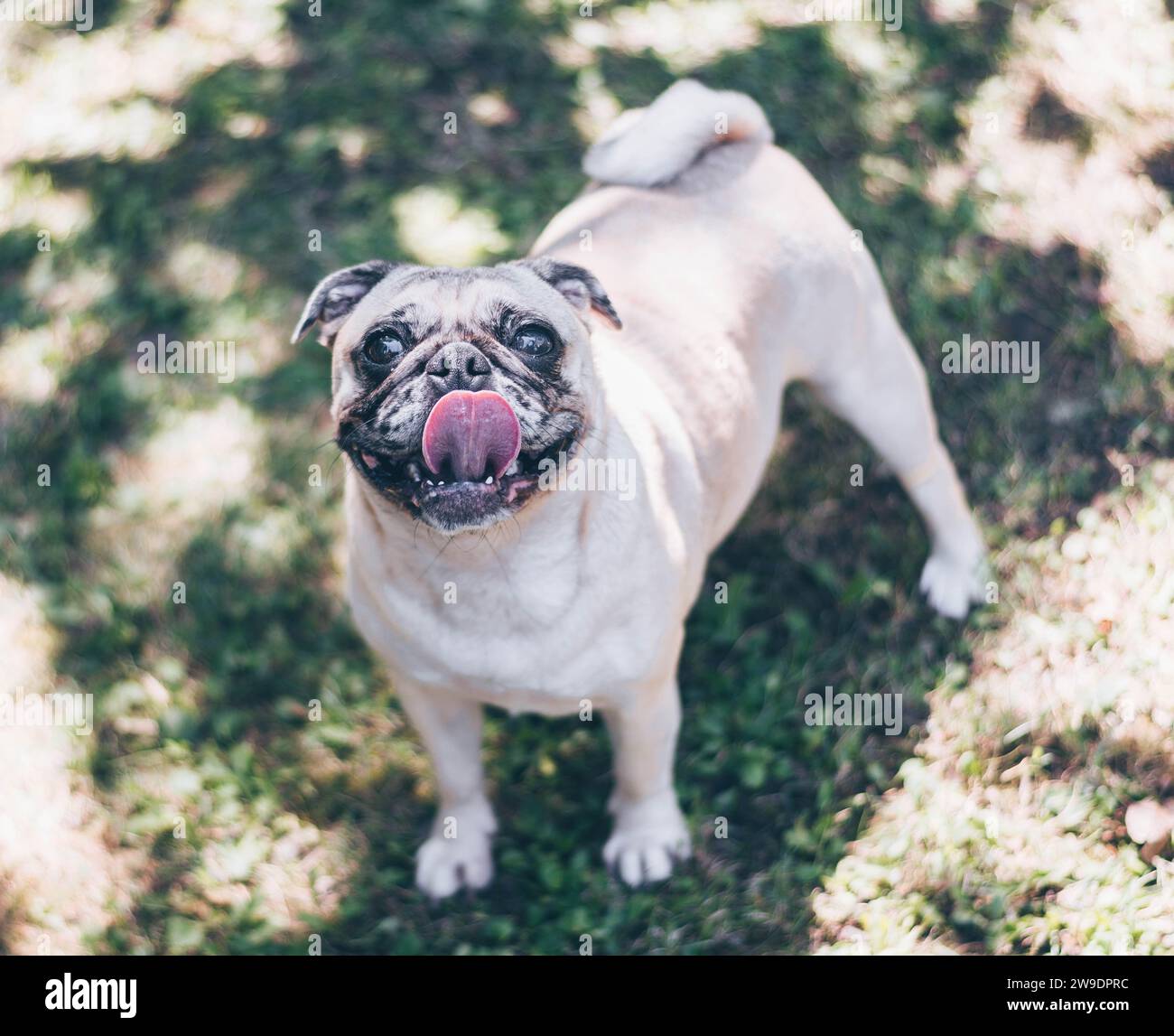 the pictures mainly show nature Stock Photo - Alamy