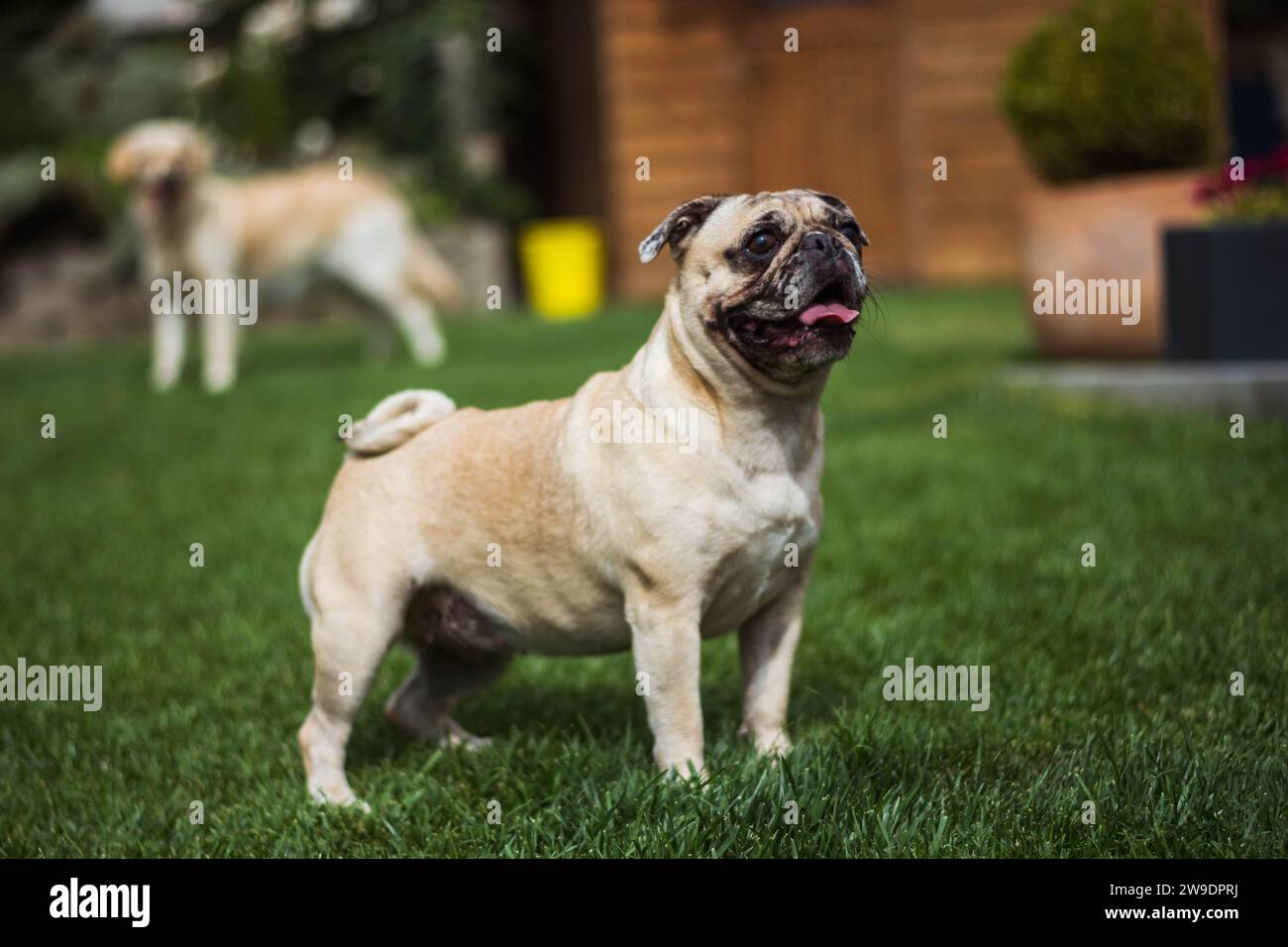 the pictures mainly show nature Stock Photo - Alamy