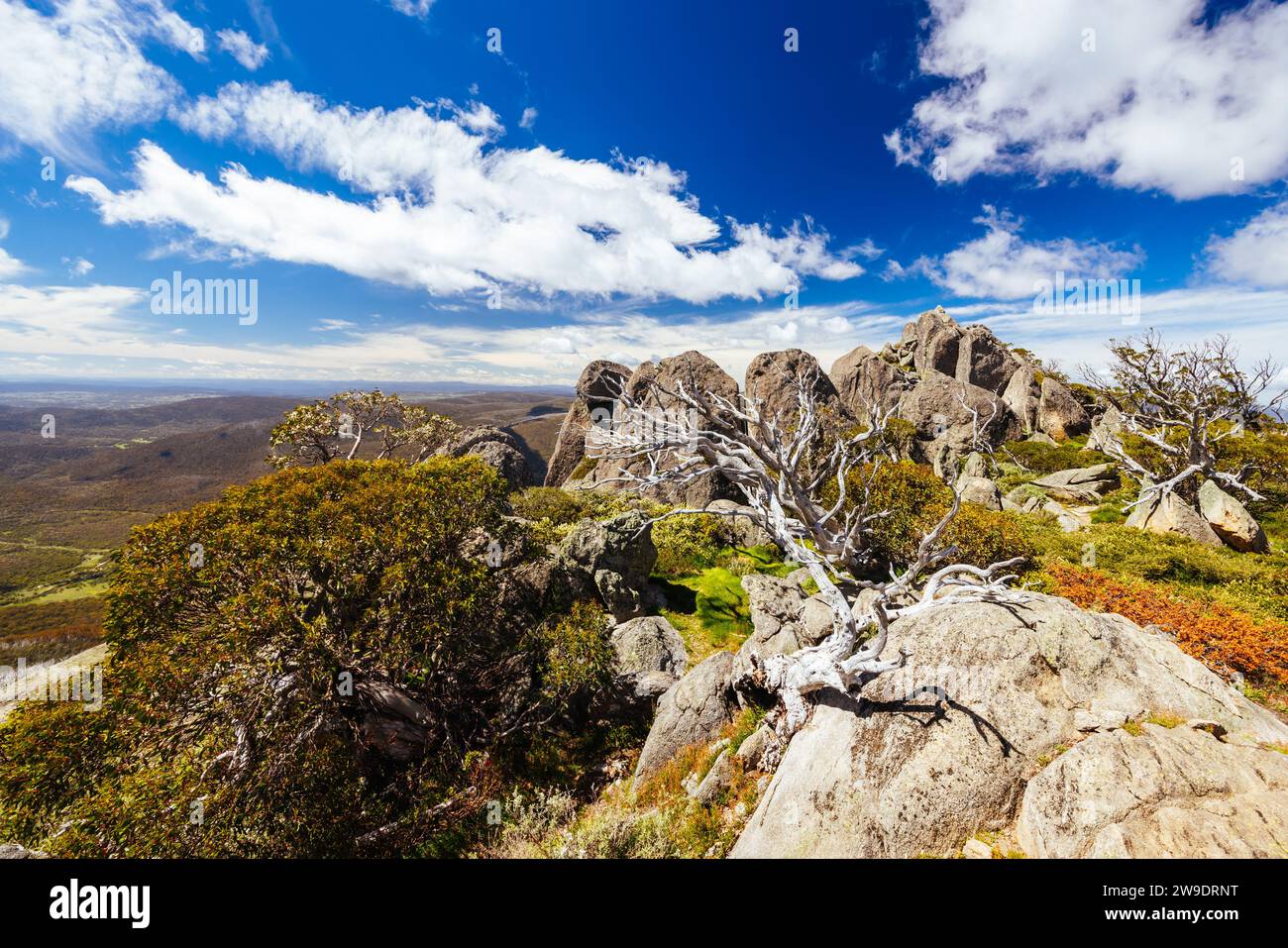 Porcupine Rocks in Kosciuszko National Park Australia Stock Photo - Alamy