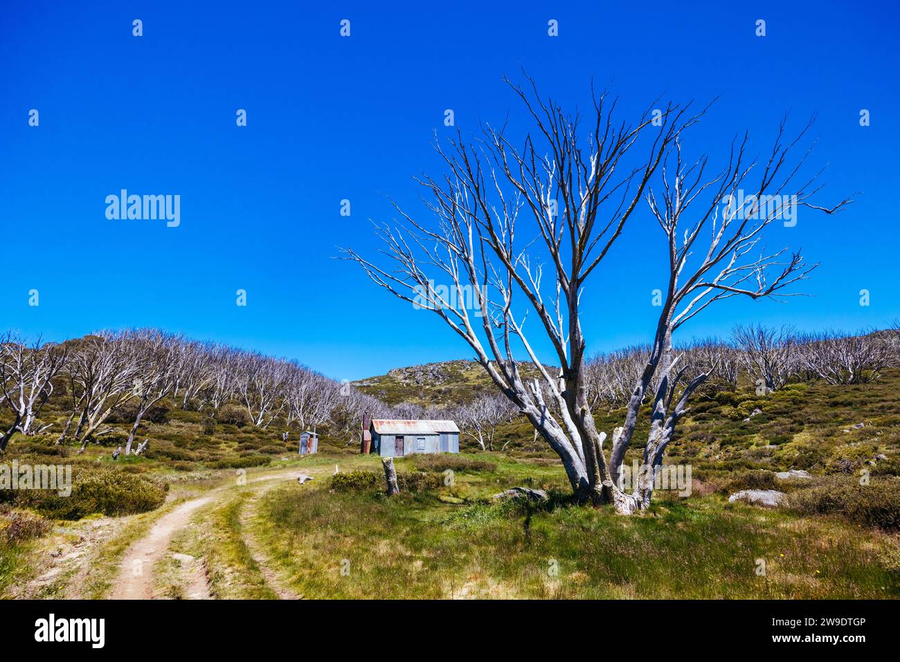 Whites River Hut in Kosciuszko National Park in Australia Stock Photo ...