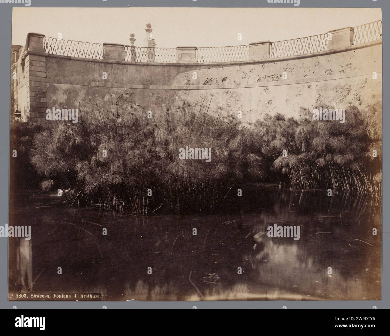 Fontein van Arethusa, Syracuse, 1860 - 1889 photograph Syracuse paper ...