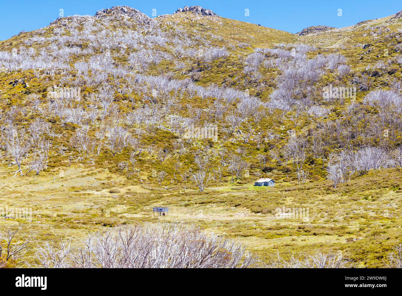 Whites River Hut in Kosciuszko National Park in Australia Stock Photo ...