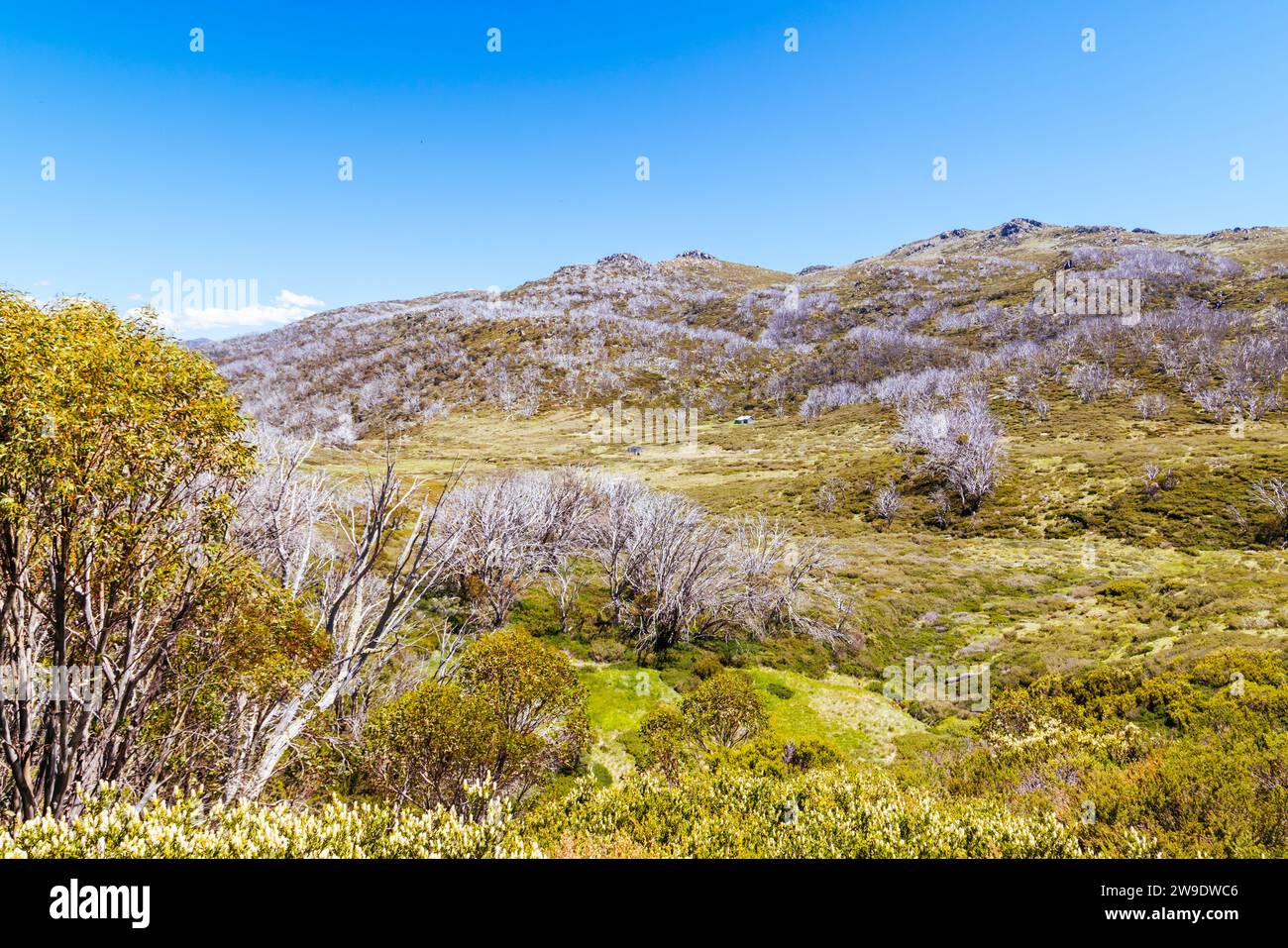 Whites River Hut in Kosciuszko National Park in Australia Stock Photo ...