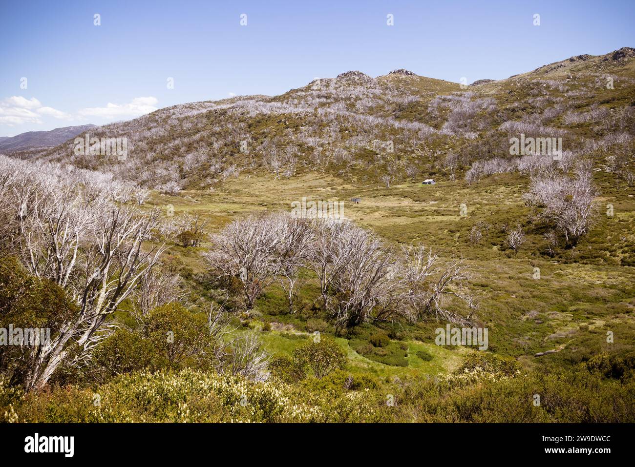 Whites River Hut in Kosciuszko National Park in Australia Stock Photo ...